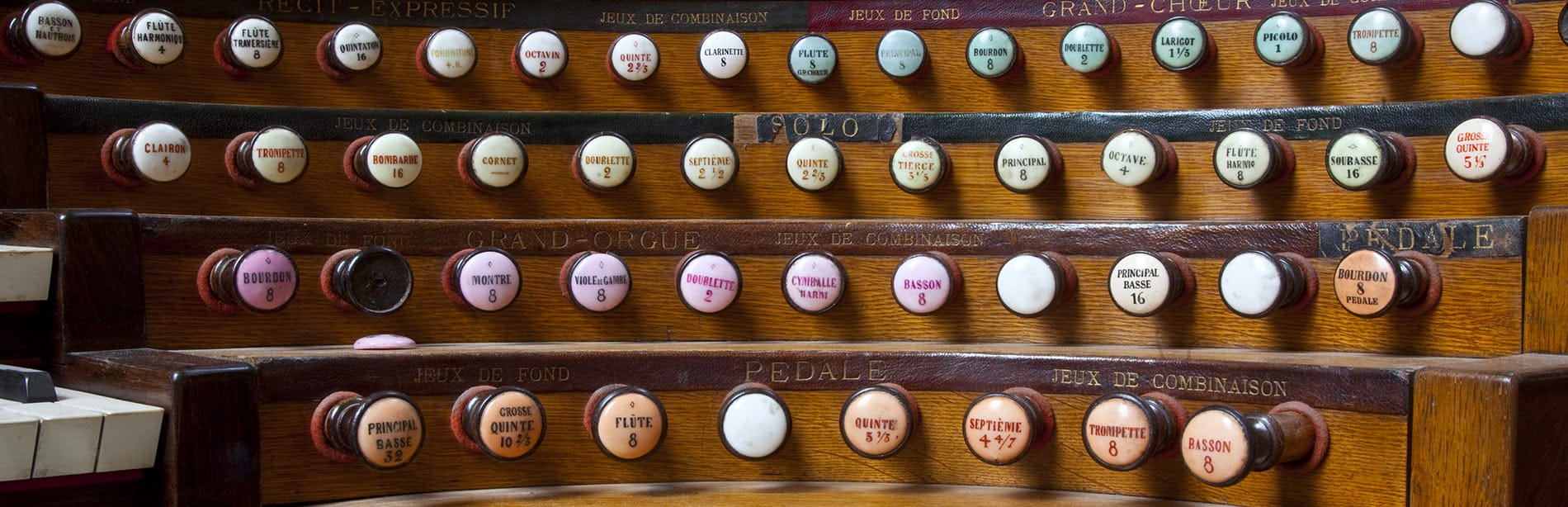 Ars Antiqua and Renaissance - Notre-Dame de Paris