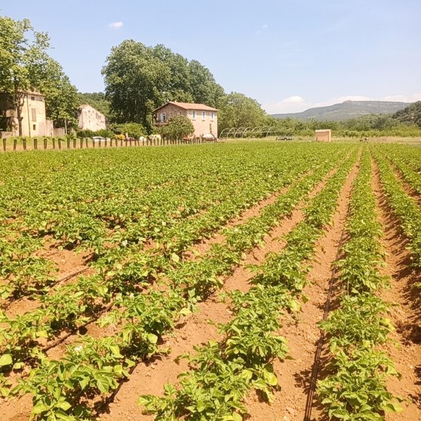 La ferme du Canalet — Terre de Liens
