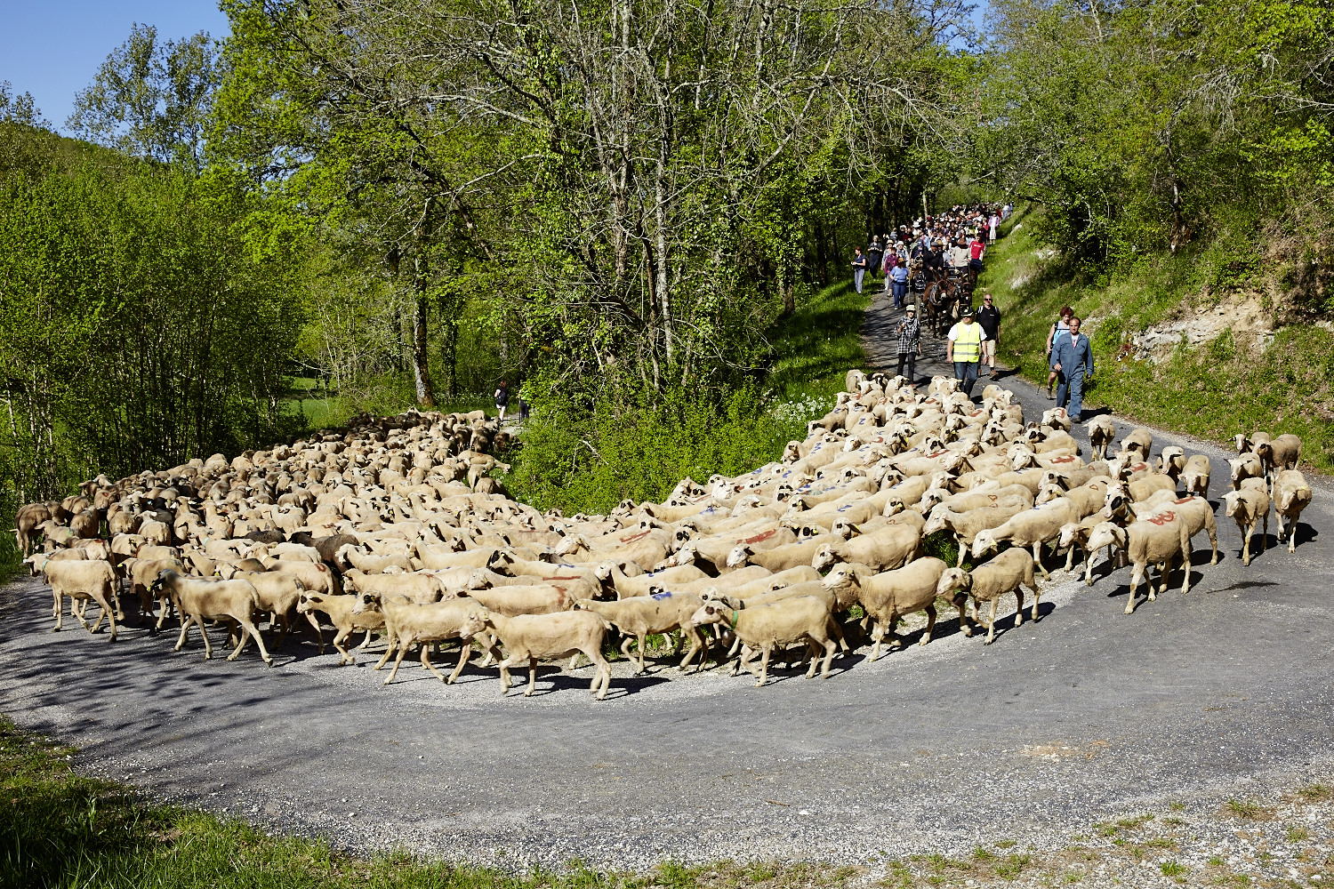 Classe transhumance dans le Lot - Trousse à Projets — La plateforme ...