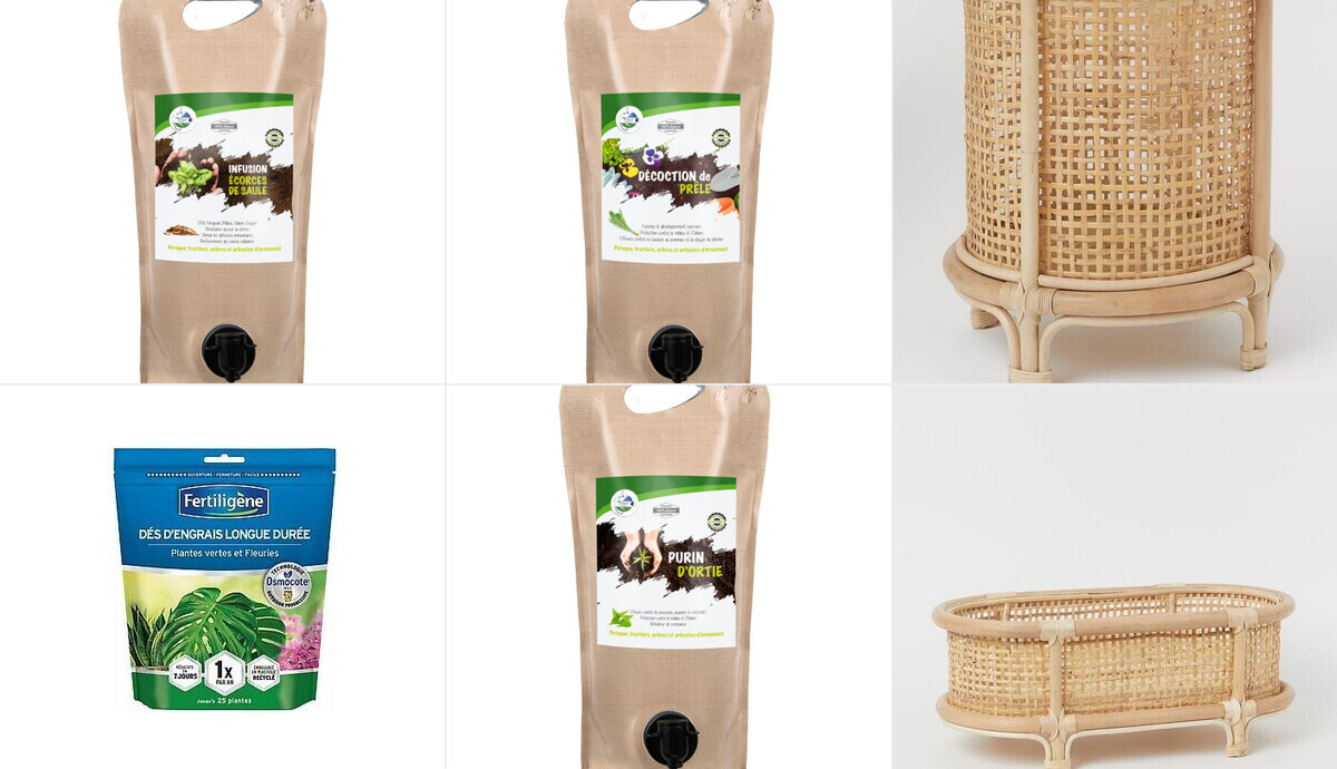 Plantes 🪴 | Votre wishlist sur Listy