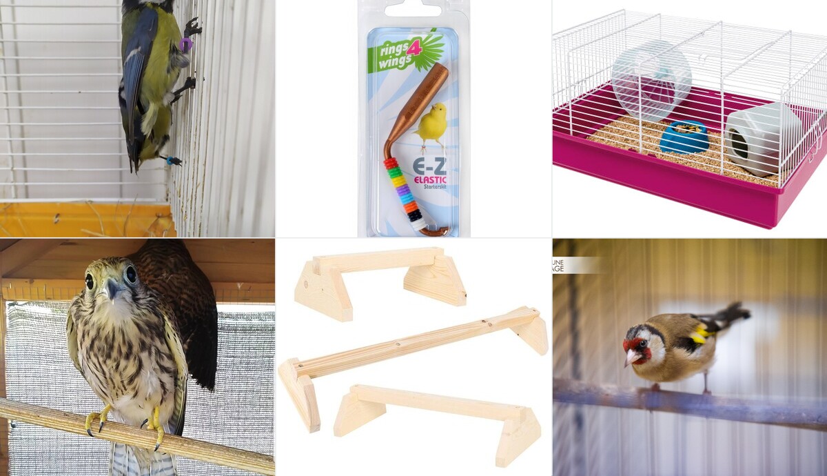 Votre wishlist sur Listy