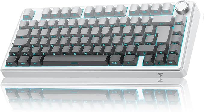 Clavier Gaming Mécanique- 75% ISO-FR sans Fil Hot-Swap, Gasket Mount ...