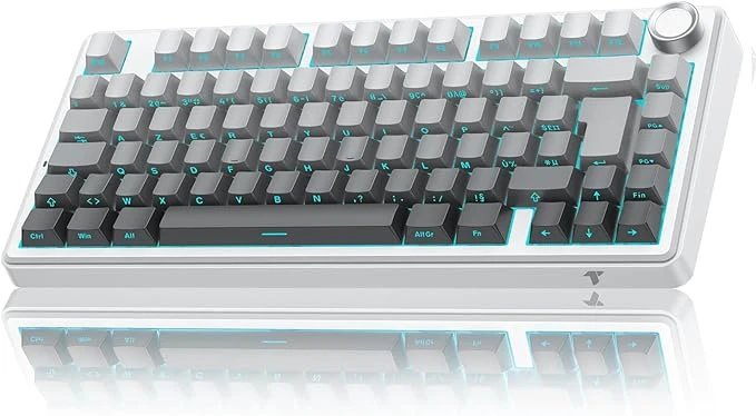 Clavier Gaming Mécanique- 75% ISO-FR sans Fil Hot-Swap, Gasket Mount ...